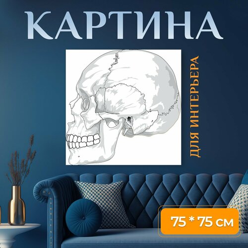 Картина на холсте "Череп, голова, кость" на подрамнике 75х75 см. для интерьера