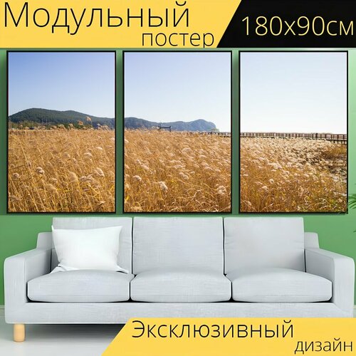 Модульный постер "Камыши, трава, поле" 180 x 90 см. для интерьера