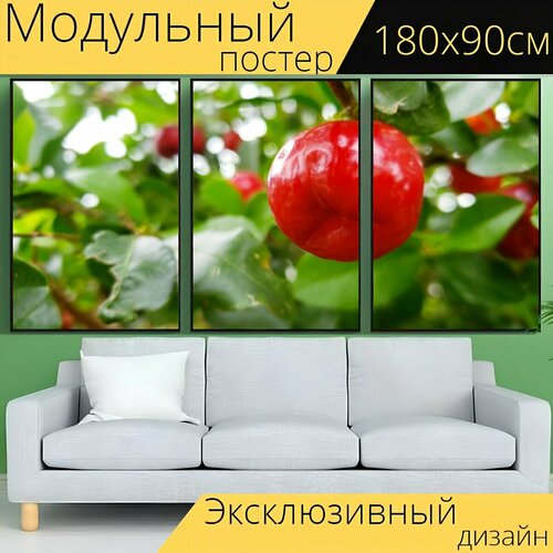 Модульный постер "Ацерола, плоды, фруктовый сад" 180 x 90 см. для интерьера