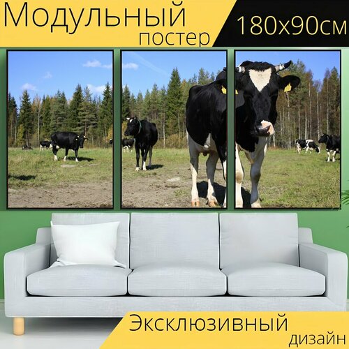 Модульный постер "Корова, пастбище, сельскохозяйственный" 180 x 90 см. для интерьера