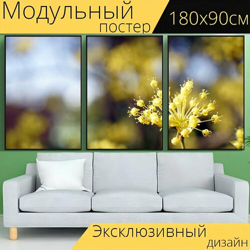 Модульный постер "Кизил, весна, жёлтый" 180 x 90 см. для интерьера
