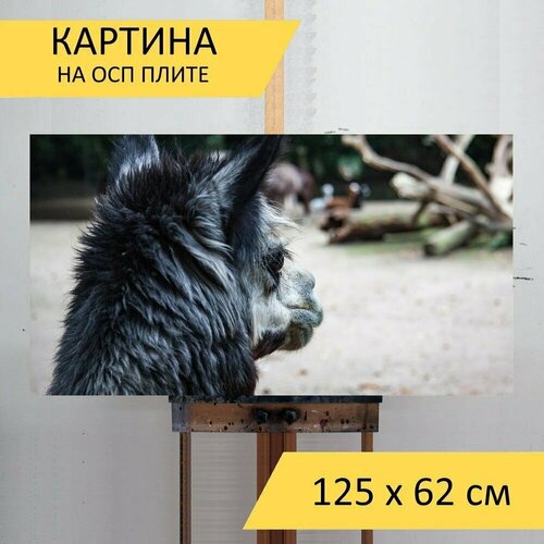 Картина на ОСП 125х62 см. "Альпака, животное, портрет животных" горизонтальная, для интерьера, с креплениями