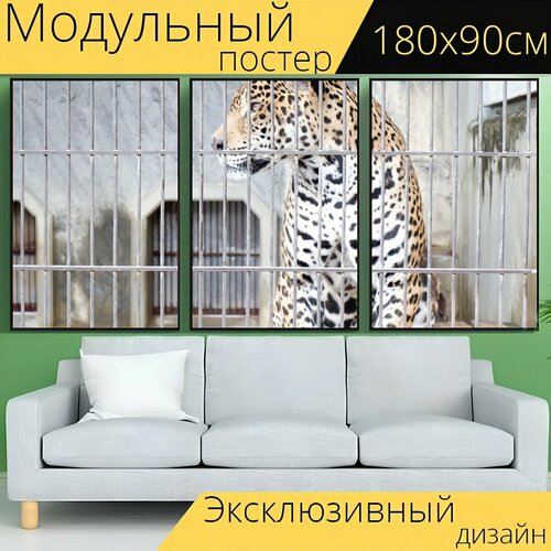 Модульный постер "Гепард, кошка, животное" 180 x 90 см. для интерьера