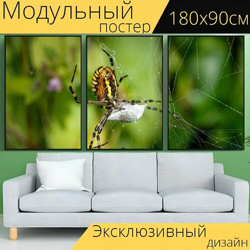 Модульный постер "Оса паук, паутина, еда" 180 x 90 см. для интерьера
