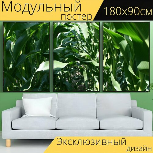 Модульный постер "Кукуруза, листья кукурузы, туннель" 180 x 90 см. для интерьера
