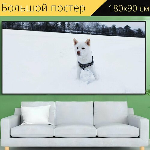 Большой постер "Сиба ину, собака, снег" 180 x 90 см. для интерьера