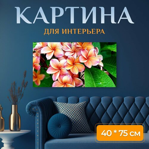 Картина на холсте "Франжипани, цветок, апельсин" на подрамнике 75х40 см. для интерьера