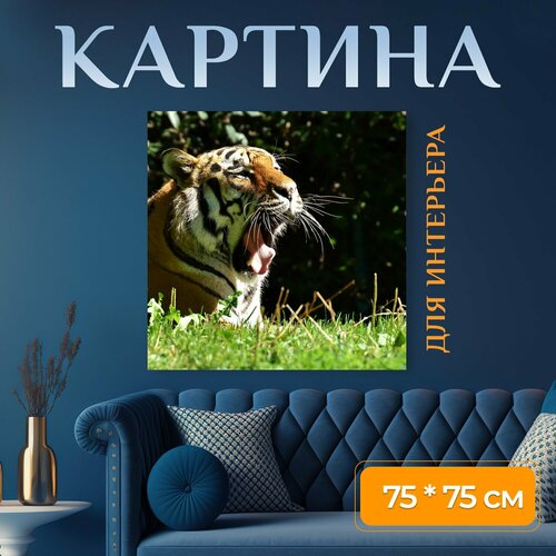 Картина на холсте "Тигр, хищник, шерсть" на подрамнике 75х75 см. для интерьера
