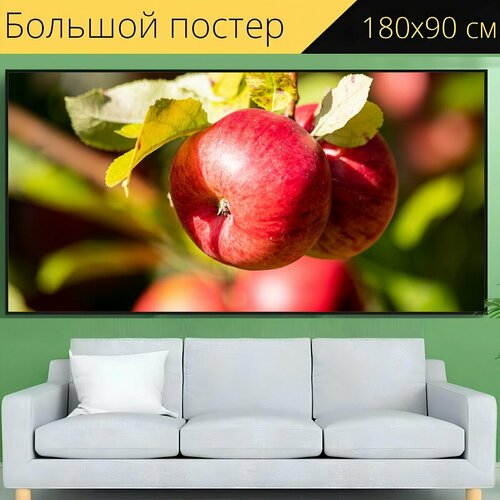Большой постер "Яблоко, яблоки, яблоня" 180 x 90 см. для интерьера