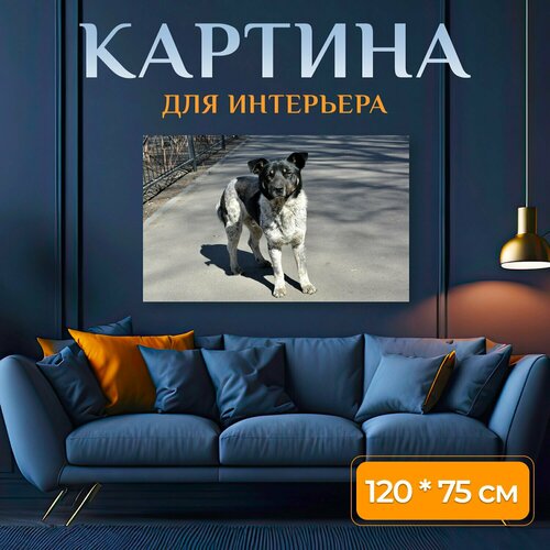 Картина на холсте "Собака, животные, бродячая собака" на подрамнике 120х75 см. для интерьера