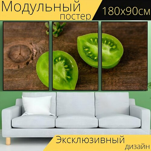 Модульный постер "Помидор, зеленые помидоры, овощи" 180 x 90 см. для интерьера