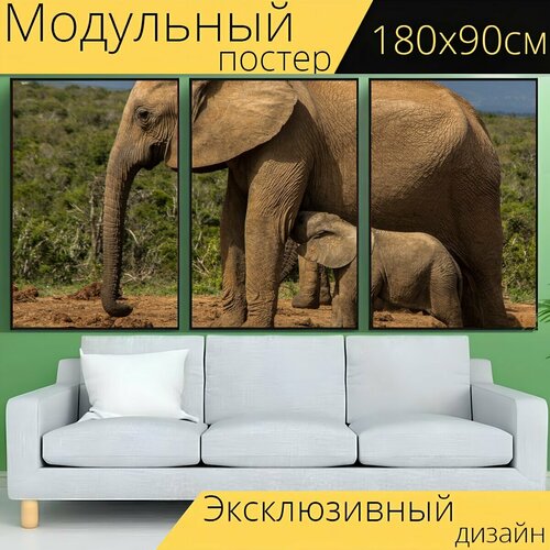Модульный постер "Слон, млекопитающее, дикая природа" 180 x 90 см. для интерьера