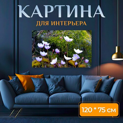 Картина на холсте "Естественный, цветок, весна" на подрамнике 120х75 см. для интерьера