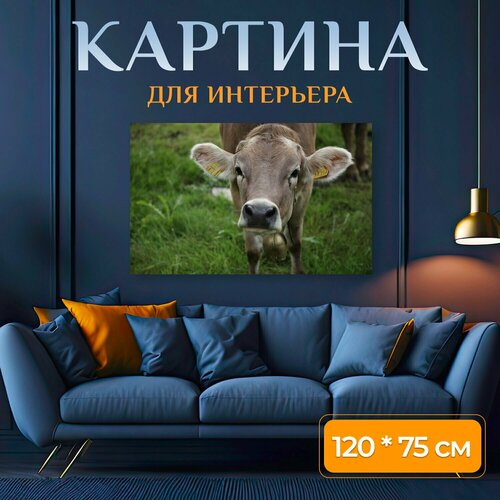 Картина на холсте "Корова, сельское хозяйство, крупный рогатый скот" на подрамнике 120х75 см. для интерьера