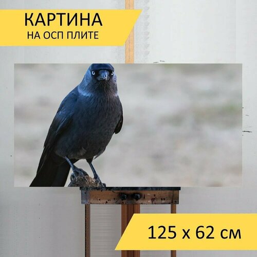 Картина на ОСП 125х62 см. "Галка, черная птица, врановый вид" горизонтальная, для интерьера, с креплениями