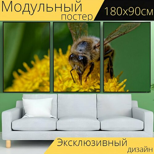 Модульный постер "Пчела, цветок, макро" 180 x 90 см. для интерьера
