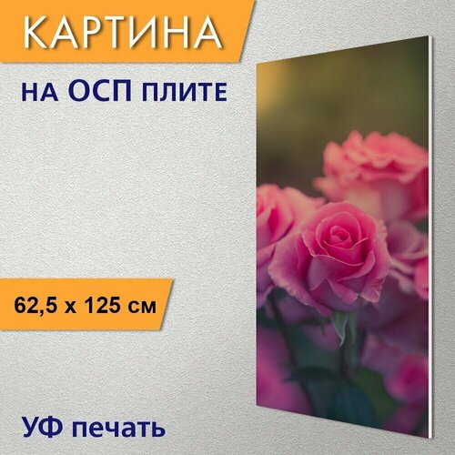 Вертикальная картина на ОСП "Розовый, цветок, роза" 62x125 см. для интерьериа