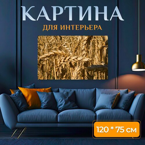 Картина на холсте "Шип, пшеница, зерно" на подрамнике 120х75 см. для интерьера