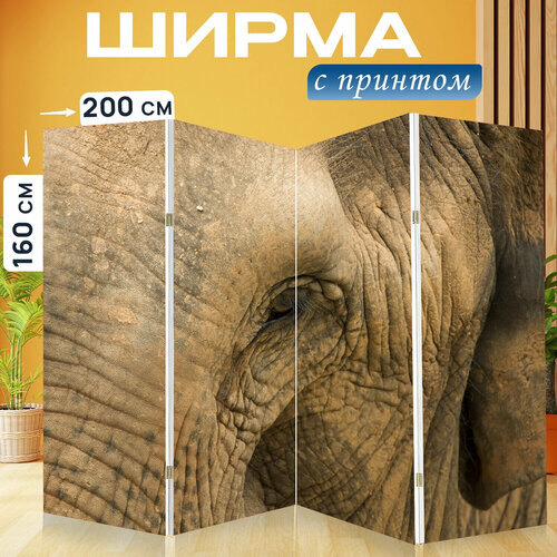 Ширма перегородка с принтом "Слон, сафари, природа" на холсте - 200x160 см. для зонирования, раскладная