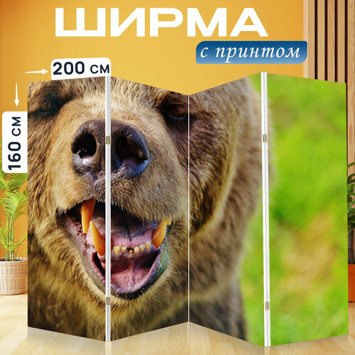 Ширма перегородка с принтом "Европейский бурый медведь, дикое животное, нести" на холсте - 200x160 см. для зонирования, раскладная