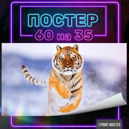 Постер на стену Тигр 60х35 см