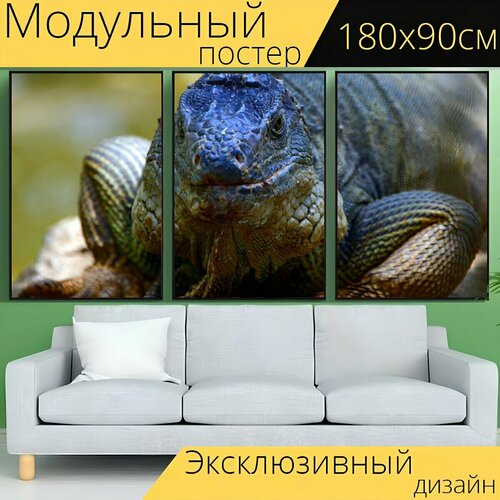Модульный постер "Игуана, рептилия, ящерица" 180 x 90 см. для интерьера
