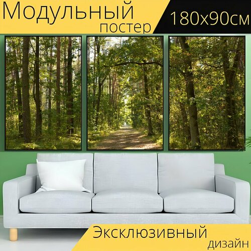 Модульный постер "Дорожка, деревья, лес" 180 x 90 см. для интерьера