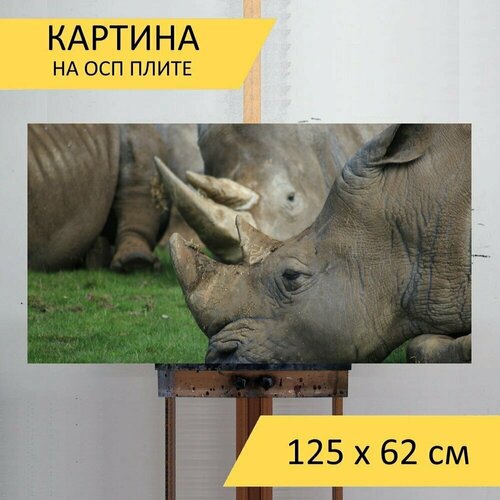 Картина на ОСП 125х62 см. "Носорог, рог, дикий" горизонтальная, для интерьера, с креплениями