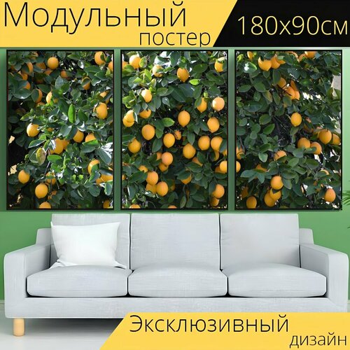 Модульный постер "Лимон, лимонное дерево, цитрусовые" 180 x 90 см. для интерьера