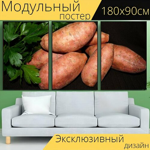 Модульный постер "Овощ, красный, сладкая картошка" 180 x 90 см. для интерьера