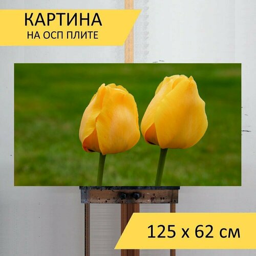 Картина на ОСП 125х62 см. "Желтый, цветы, тюльпаны" горизонтальная, для интерьера, с креплениями
