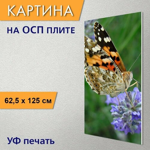 Вертикальная картина на ОСП "Бабочка, цветок, лаванда" 62x125 см. для интерьериа