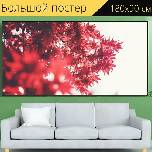 Большой постер "Клен, листья, красный" 180 x 90 см. для интерьера