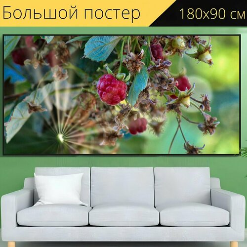 Большой постер "Малина, ягода, сад" 180 x 90 см. для интерьера