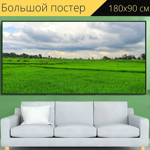 Большой постер "Рисовые поля, ферма, сельское хозяйство" 180 x 90 см. для интерьера