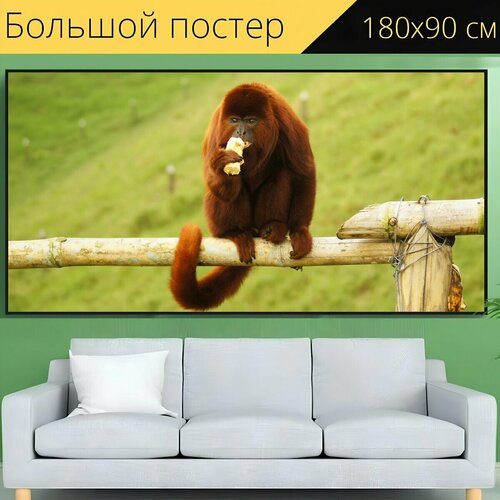 Большой постер "Животное, моно, обезьяна" 180 x 90 см. для интерьера