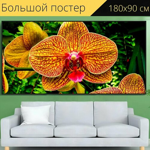 Большой постер "Цветы, флора, орхидеи" 180 x 90 см. для интерьера