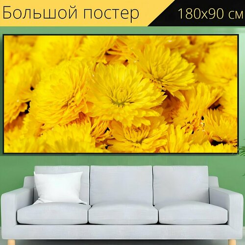 Большой постер "Хризантема, цветок, завод" 180 x 90 см. для интерьера