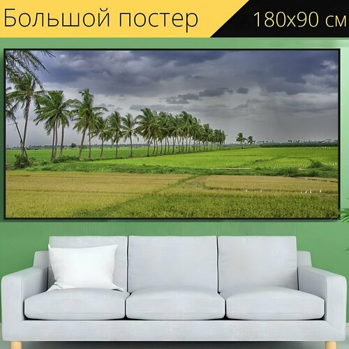 Большой постер "Рисовые поля, ферма, кокосовые пальмы" 180 x 90 см. для интерьера