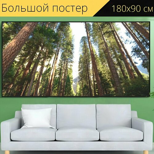 Большой постер "Деревья, стволы деревьев, природа" 180 x 90 см. для интерьера