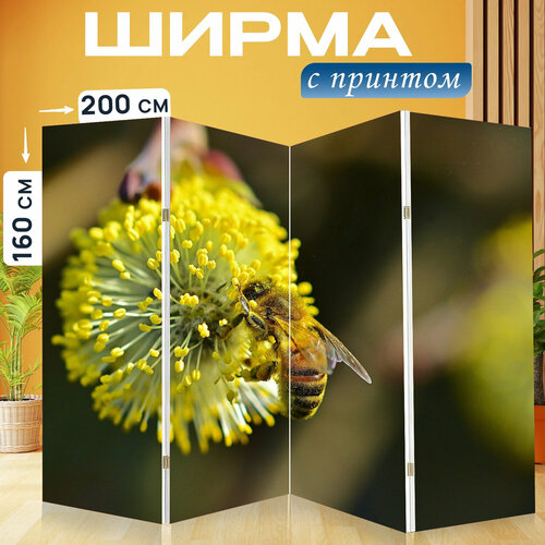 Ширма перегородка с принтом "Природа, сад, пчела" на холсте - 200x160 см. для зонирования, раскладная