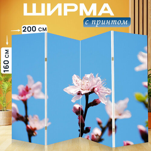 Ширма перегородка с принтом "Цветок, цветение вишни, весна" на холсте - 200x160 см. для зонирования, раскладная