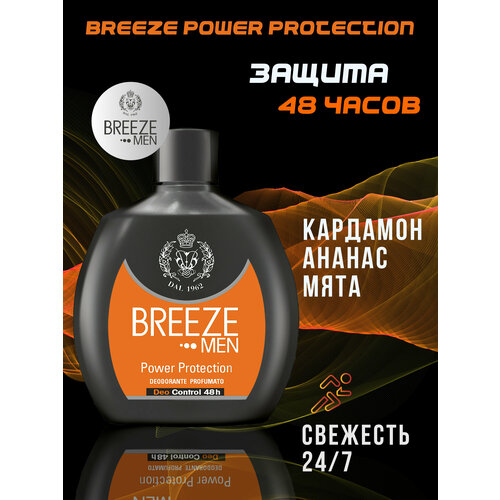 Breeze Мужской парфюмированный Дезодорант-спрей Power Protection 100 мл