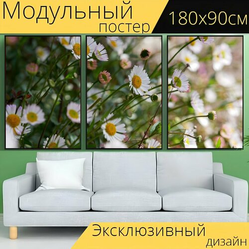 Модульный постер "Профессиональные травы, белый, остроконечный цветок" 180 x 90 см. для интерьера