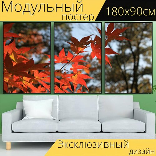 Модульный постер "Осень, осенние листья, кленовое дерево" 180 x 90 см. для интерьера