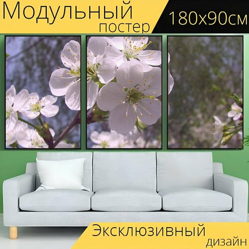 Модульный постер "Весна, цветение, вишня" 180 x 90 см. для интерьера