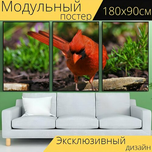 Модульный постер "Птица, красная птица, кардинал" 180 x 90 см. для интерьера