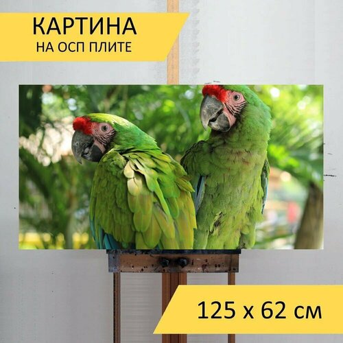 Картина на ОСП 125х62 см. "Попугай, ара, зеленый" горизонтальная, для интерьера, с креплениями