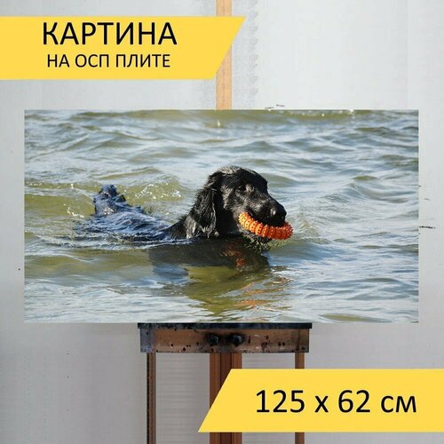 Картина на ОСП 125х62 см. "Собака, ретривер, плоский" горизонтальная, для интерьера, с креплениями