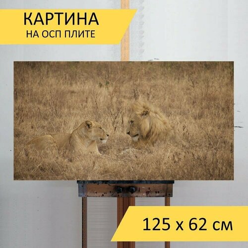 Картина на ОСП 125х62 см. "Львы, животные, сафари" горизонтальная, для интерьера, с креплениями